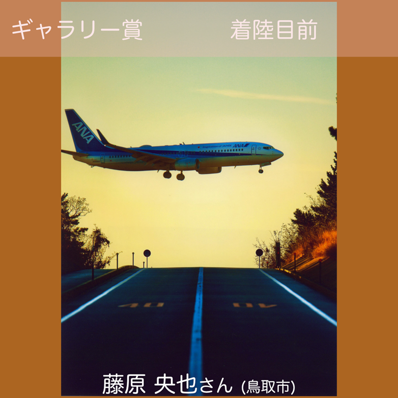 鳥取砂丘コナン空港